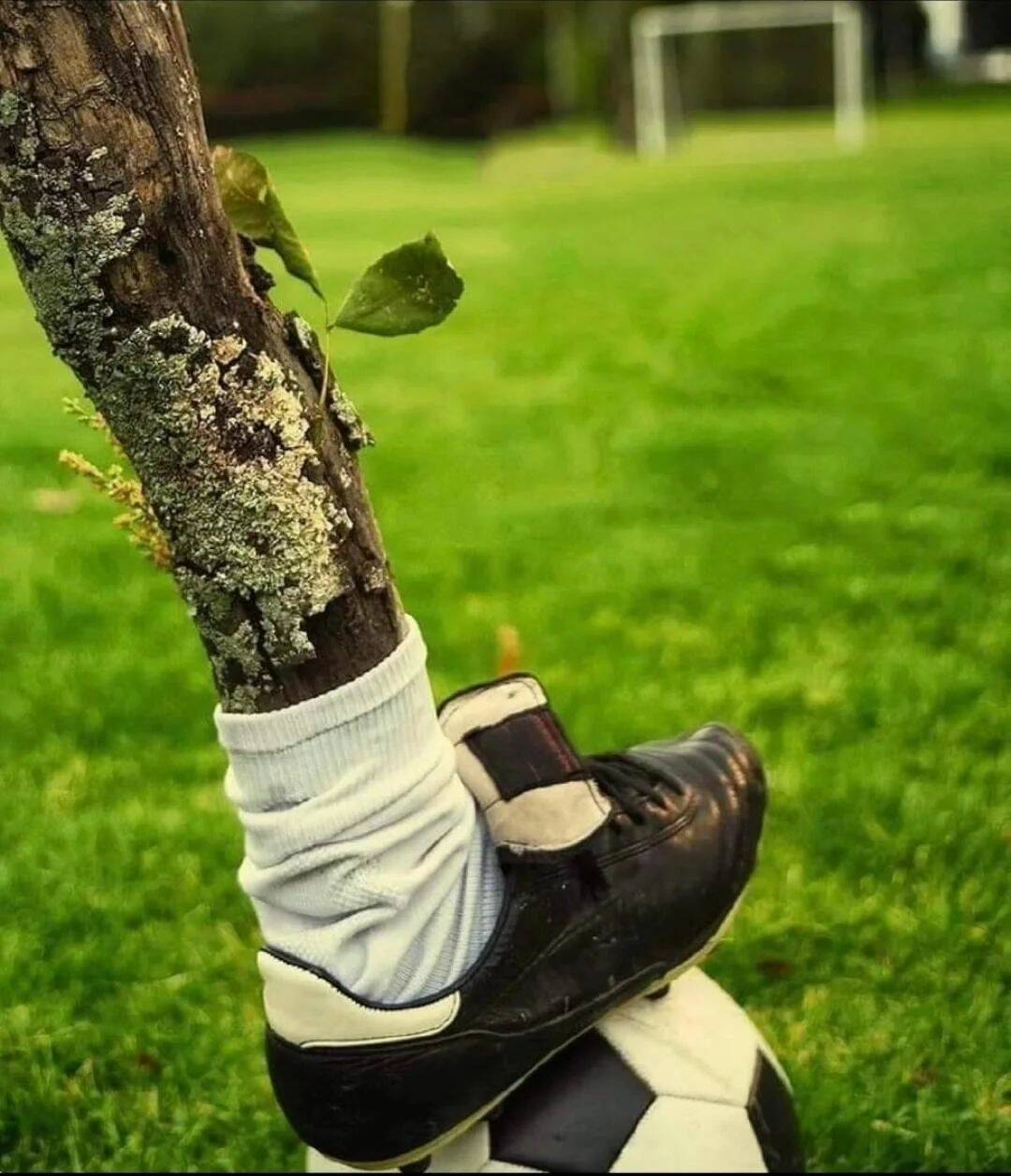 Подборка прикольных картинок - Zefirka